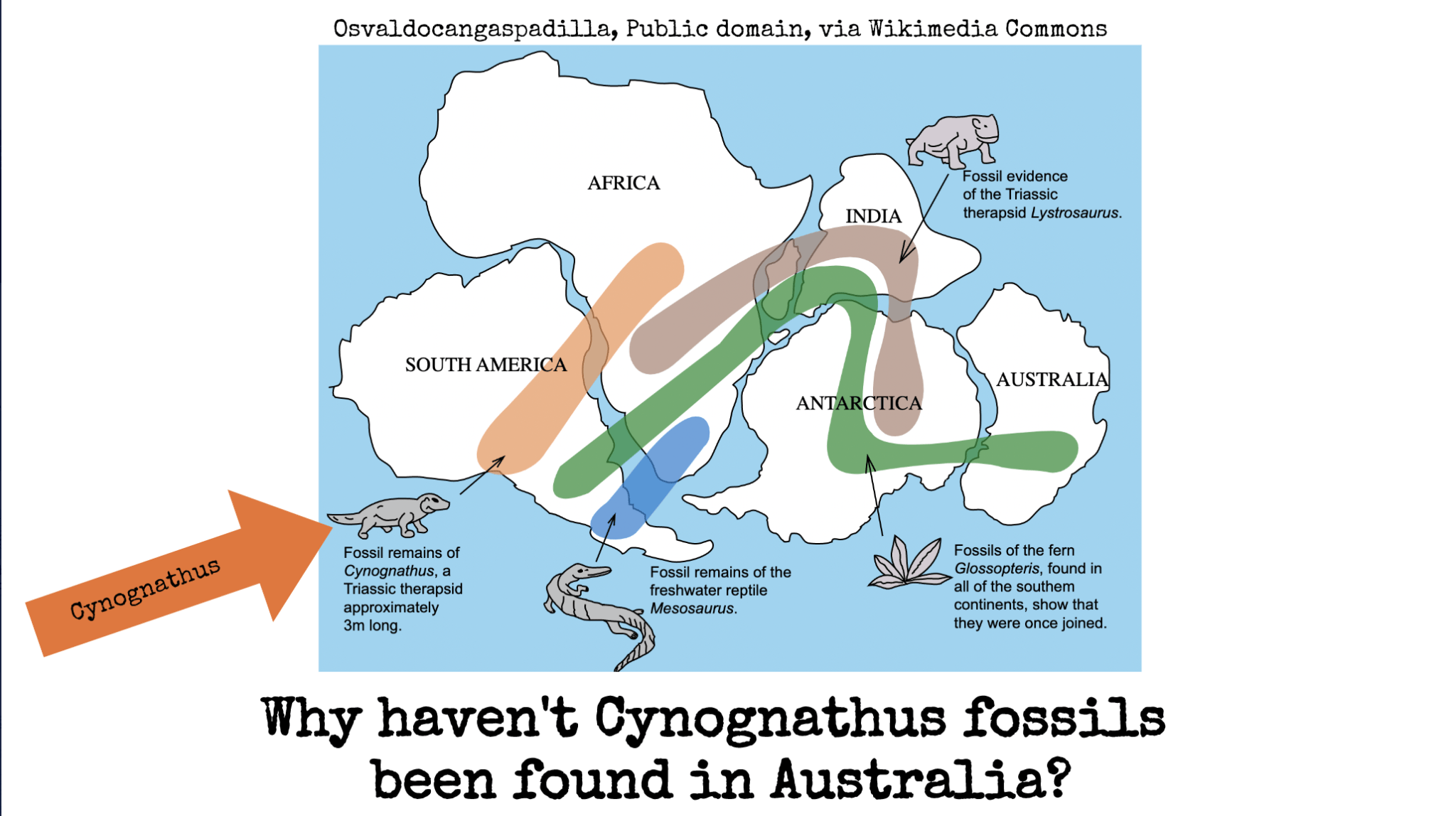 ESS2-3 Bell Ringers – Virtual Science Teachers