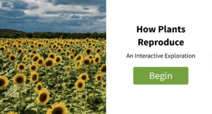 Life Science – Virtual Science Teachers