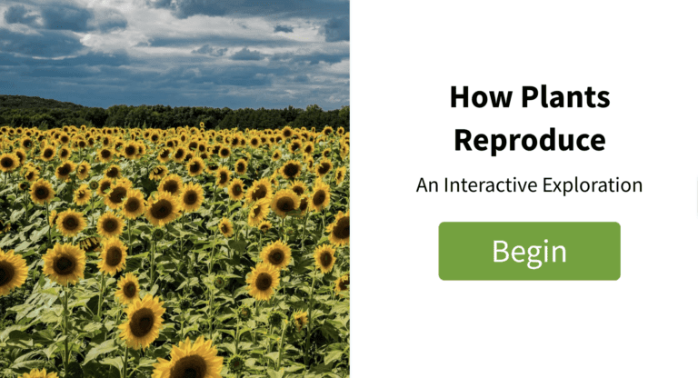 Life Science Interactives – Virtual Science Teachers