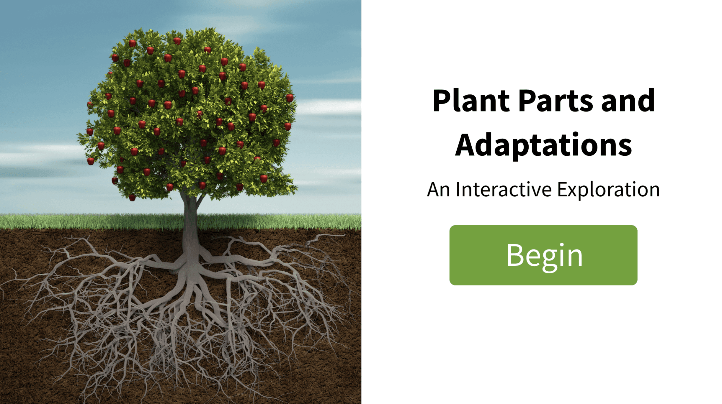 Life Science – Virtual Science Teachers