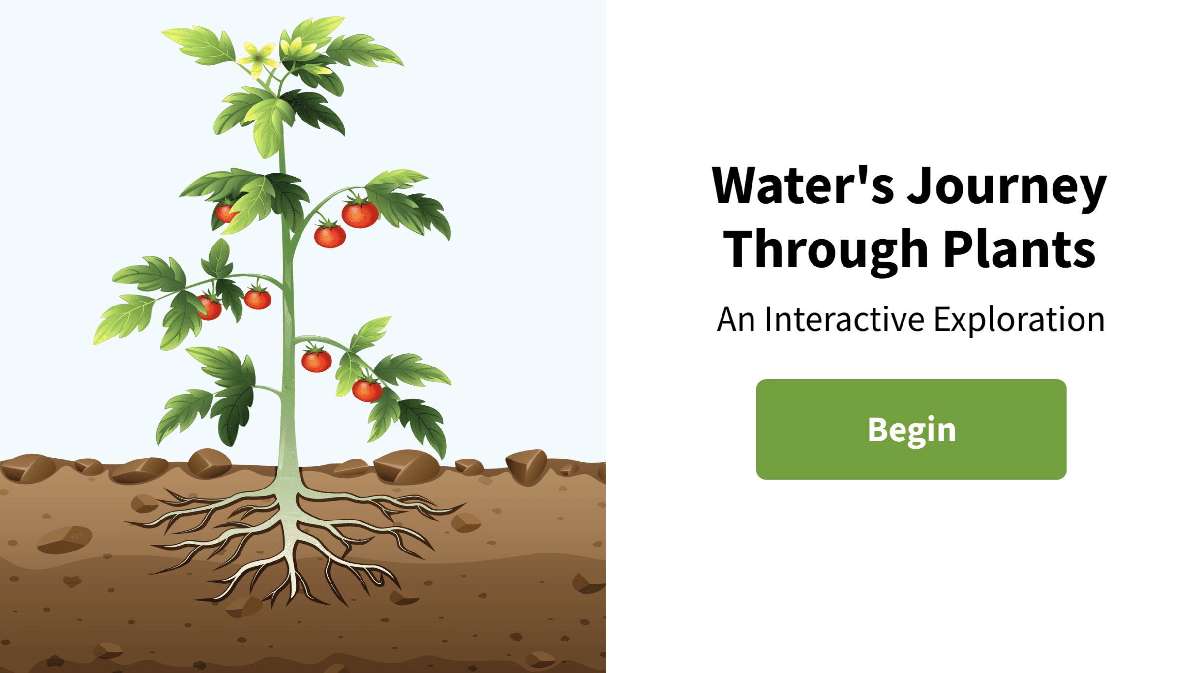 Life Science Interactives – Virtual Science Teachers