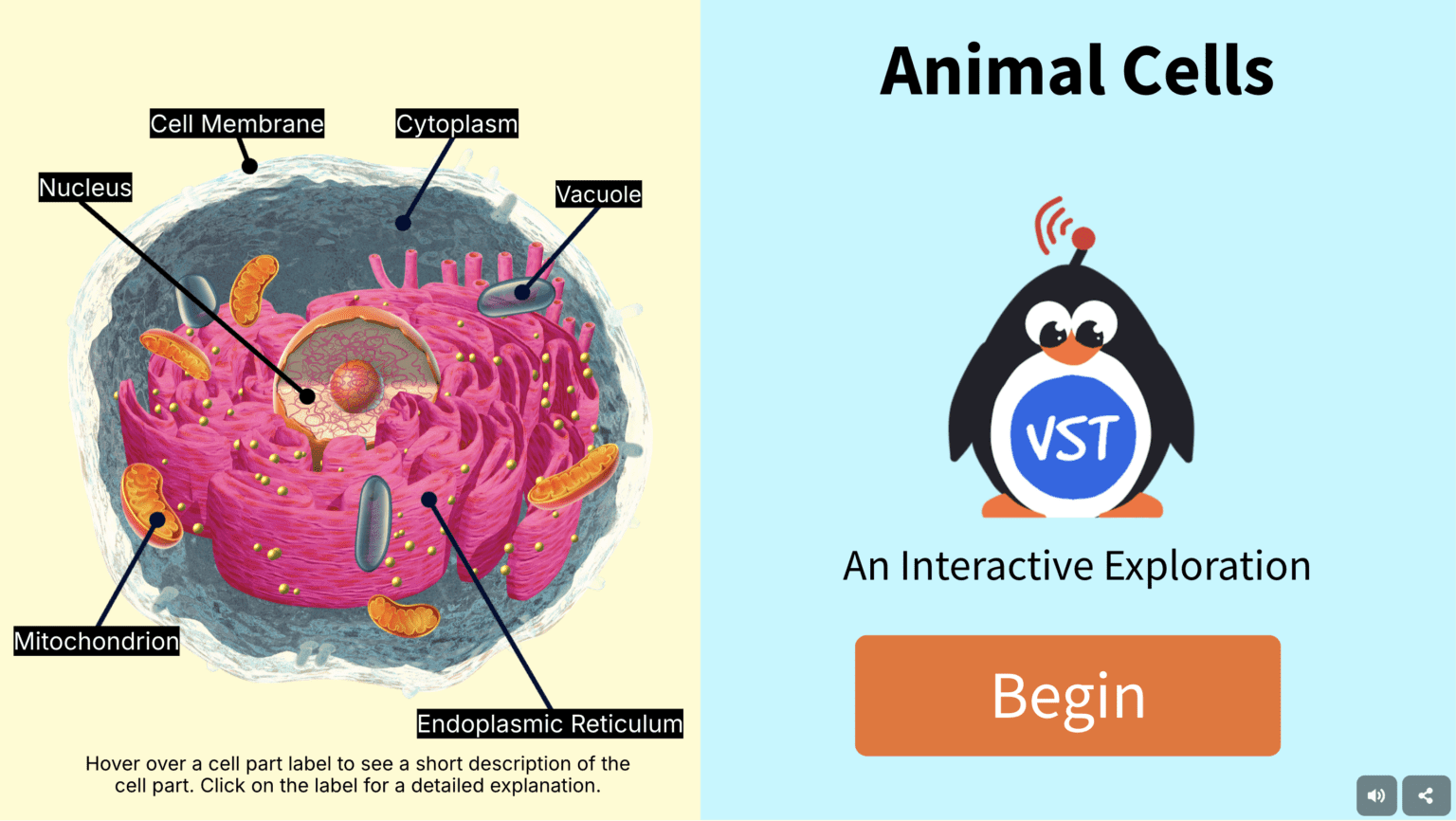 Life Science Interactives – Virtual Science Teachers