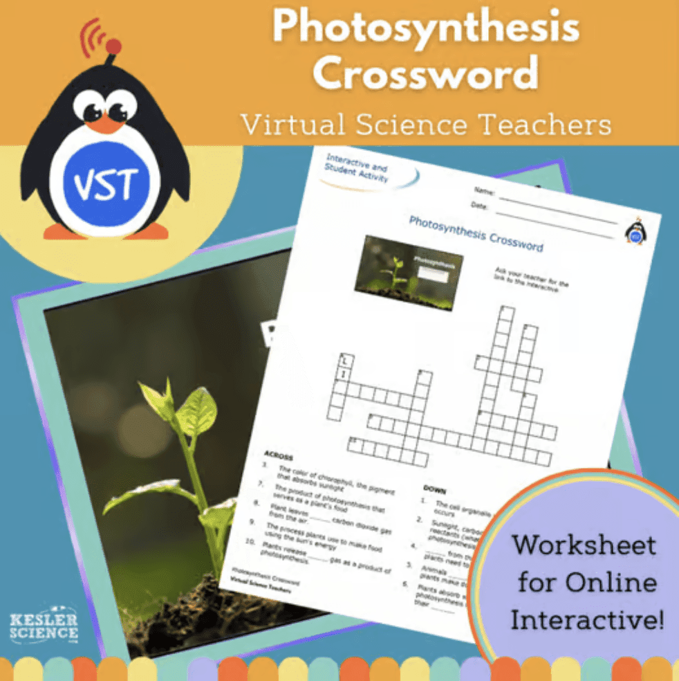 Life Science Interactives – Virtual Science Teachers