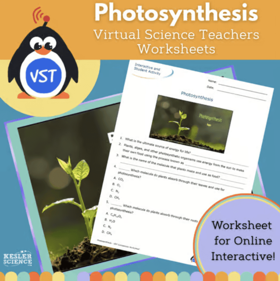 Life Science Interactives – Virtual Science Teachers