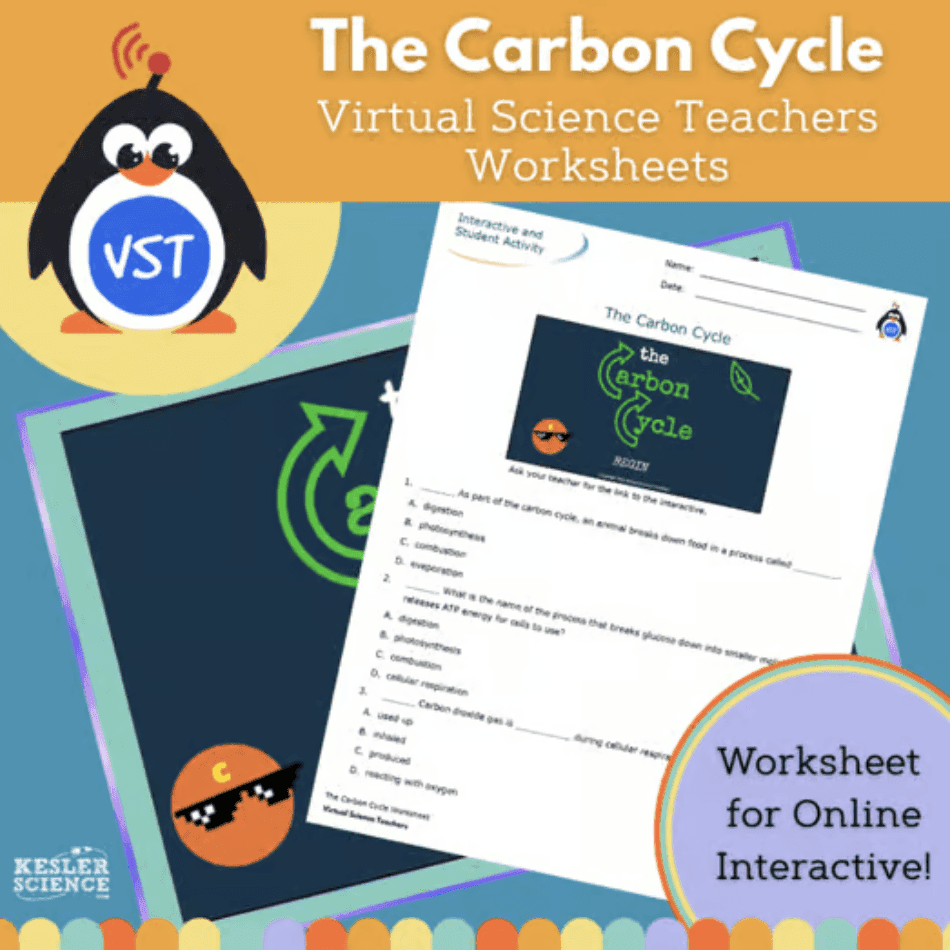 Life Science Interactives – Virtual Science Teachers