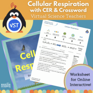 Life Science Interactives – Virtual Science Teachers