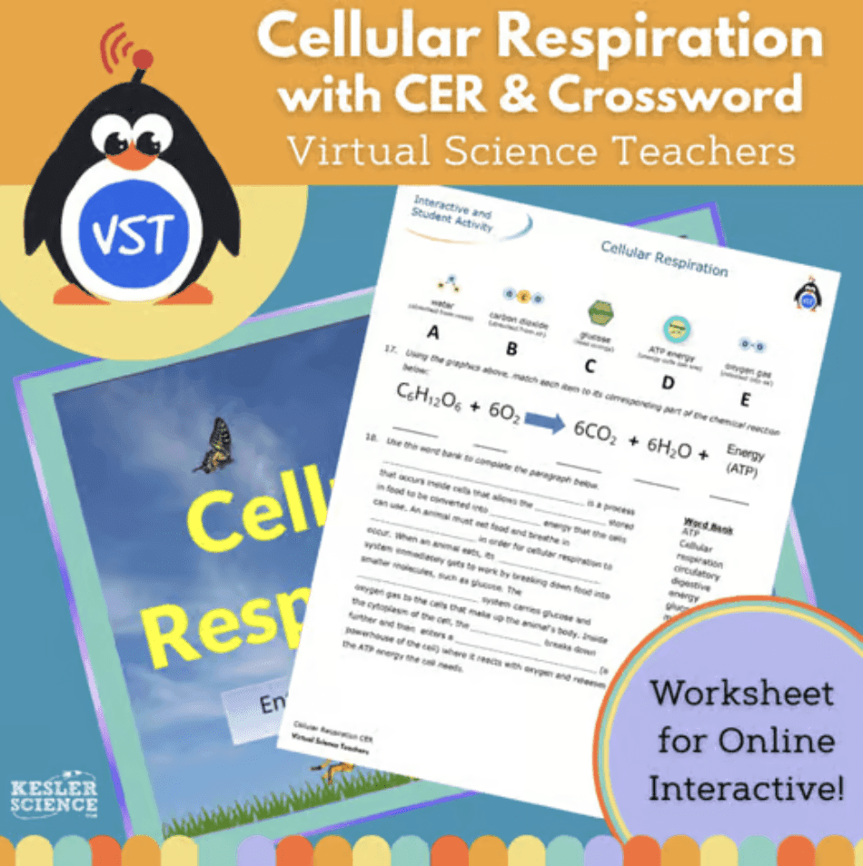Life Science Interactives – Virtual Science Teachers