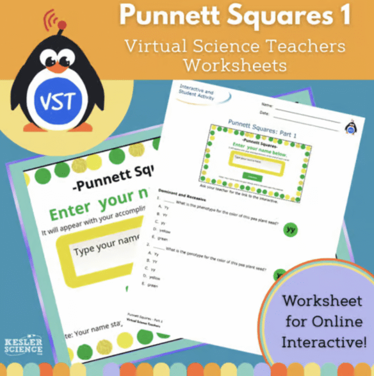 Virtual Labs & Simulations – Virtual Science Teachers