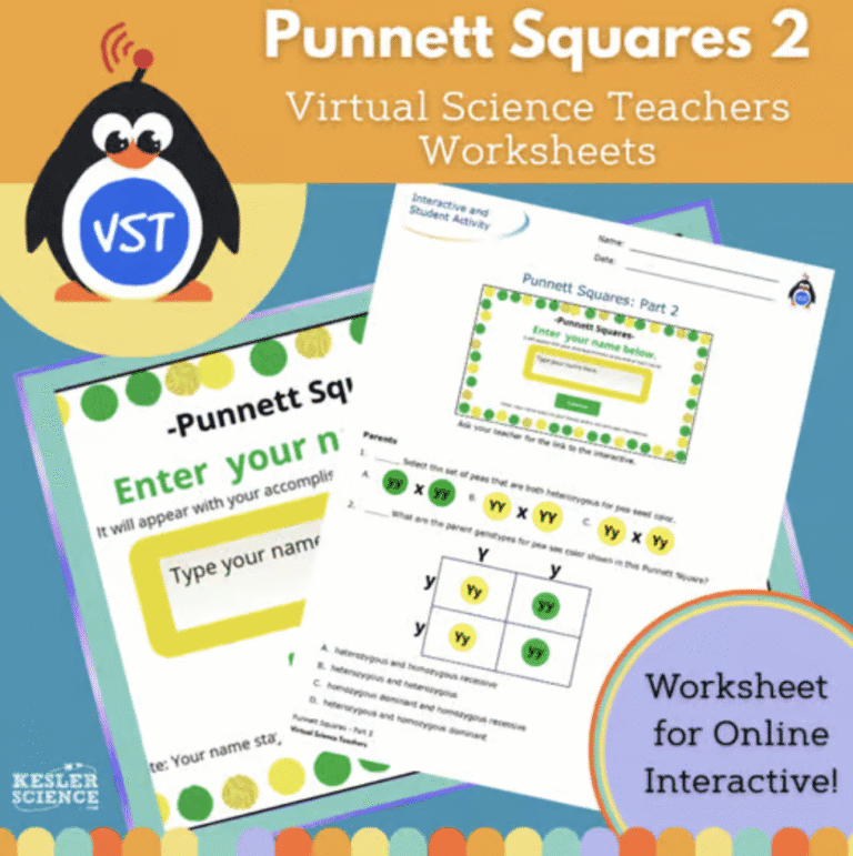 Virtual Labs & Simulations – Virtual Science Teachers