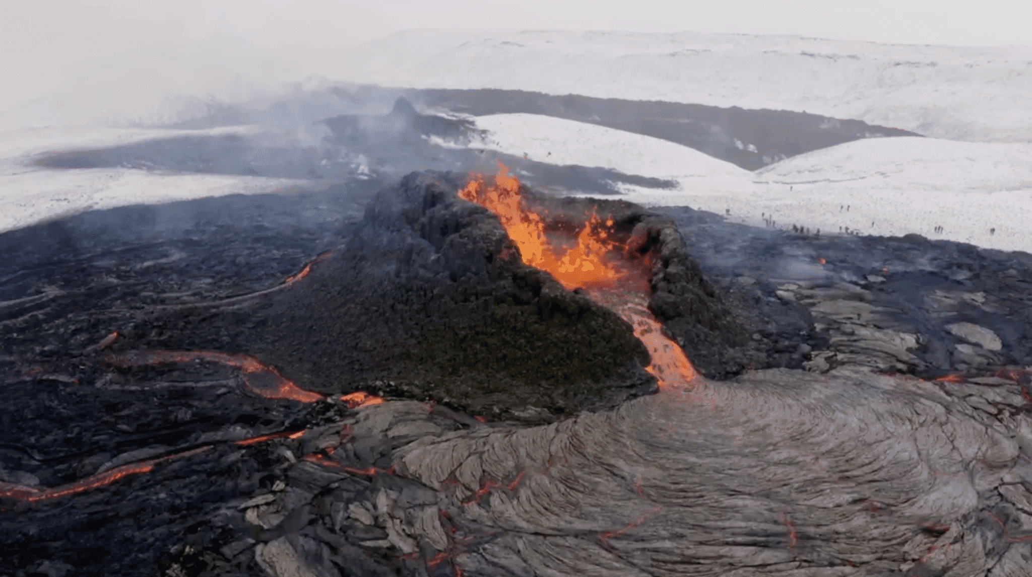 NGSS MS-ESS2 – Virtual Science Teachers