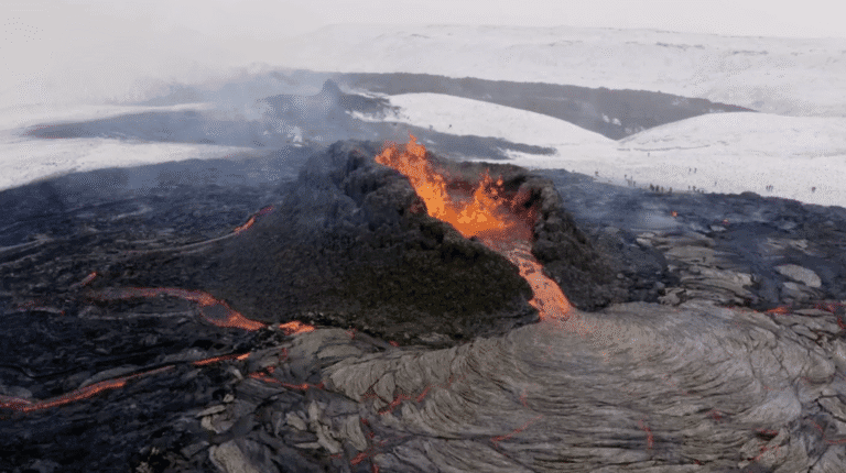 NGSS MS-ESS2 – Virtual Science Teachers