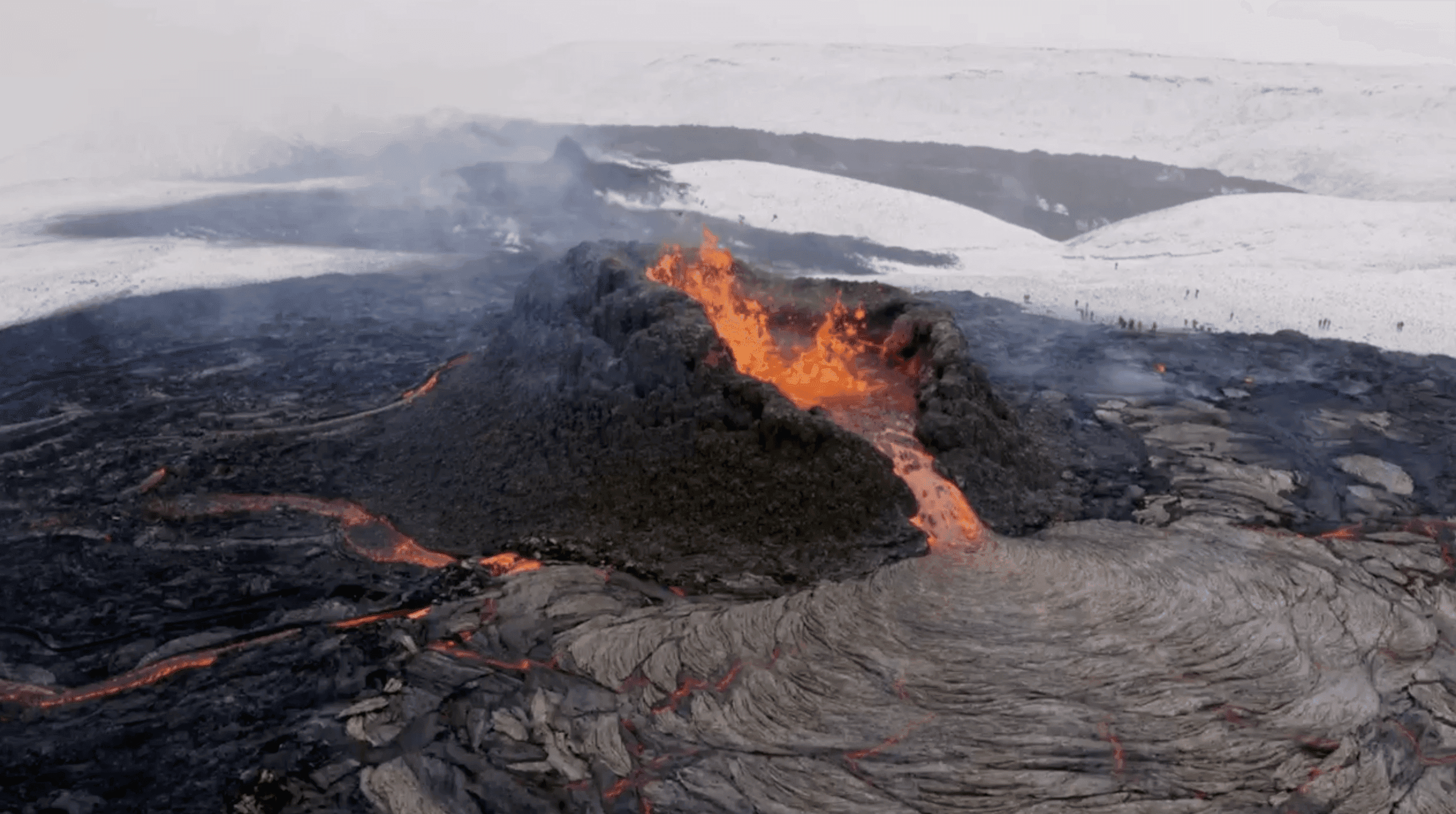 NGSS MS-ESS2 – Virtual Science Teachers