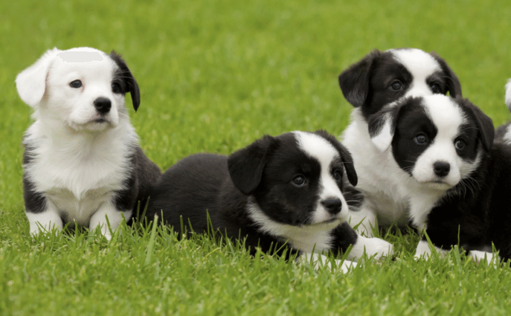 NGSS Aligned Resources for Middle School – Virtual Science Teachers