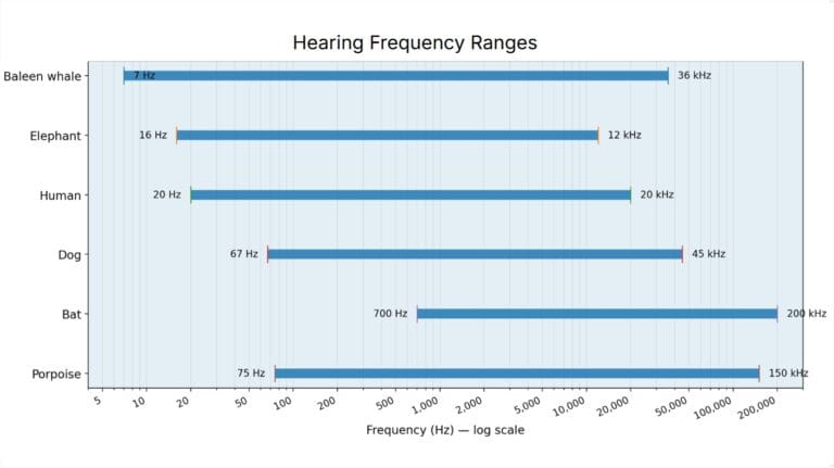 Hearing Frequency Ranges of Animals – Virtual Science Teachers