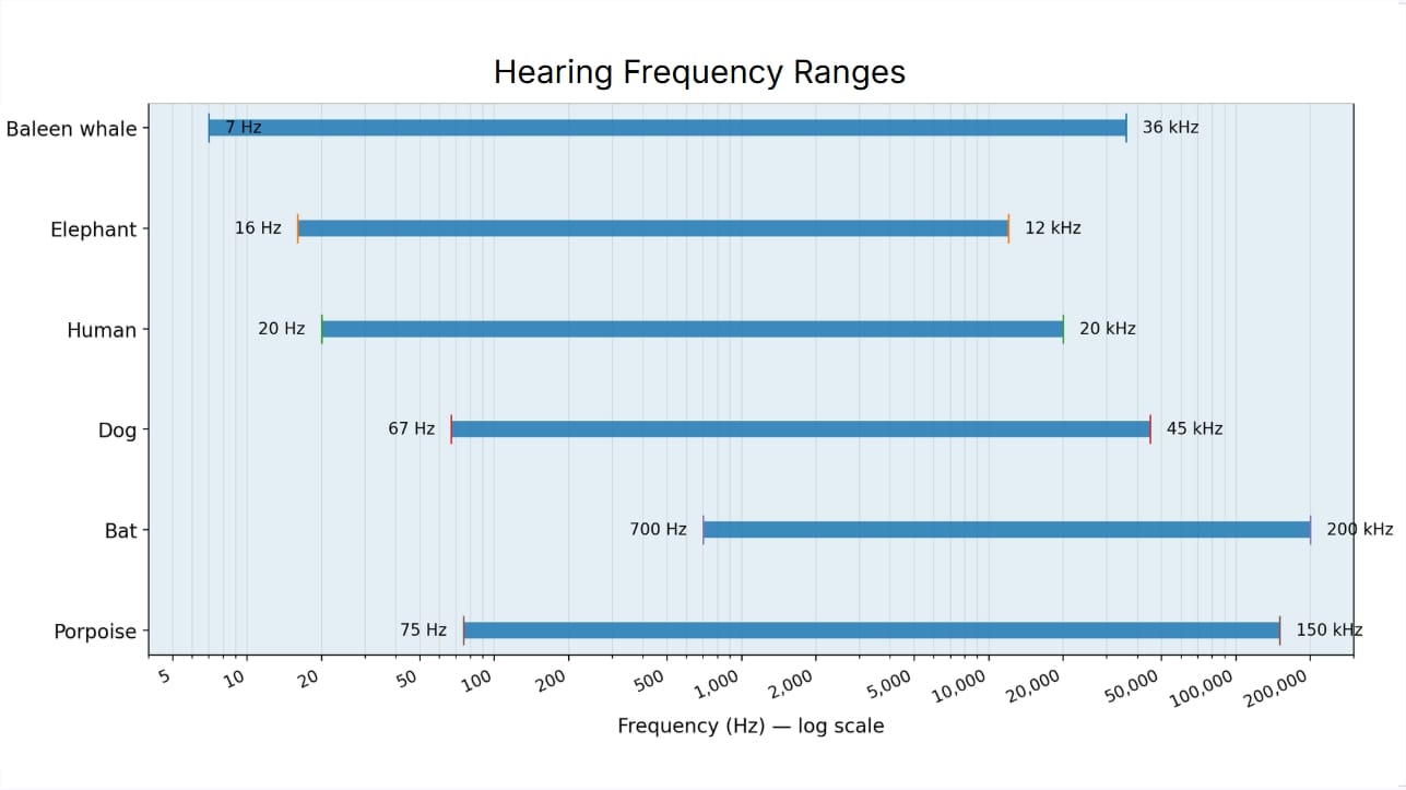 Hearing Frequency Ranges of Animals – Virtual Science Teachers