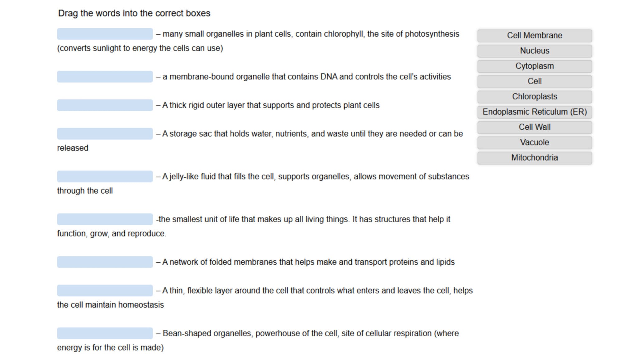 Life Science Mini-Challenges – Virtual Science Teachers