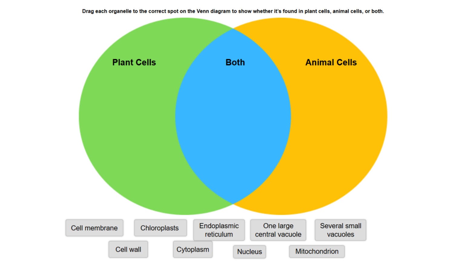 Life Science Mini-Challenges – Virtual Science Teachers